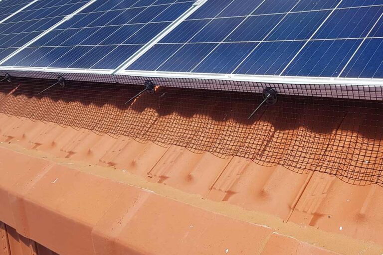 Newcastle upon Tyne Pigeon Control Services for Solar Panels | Stop ...